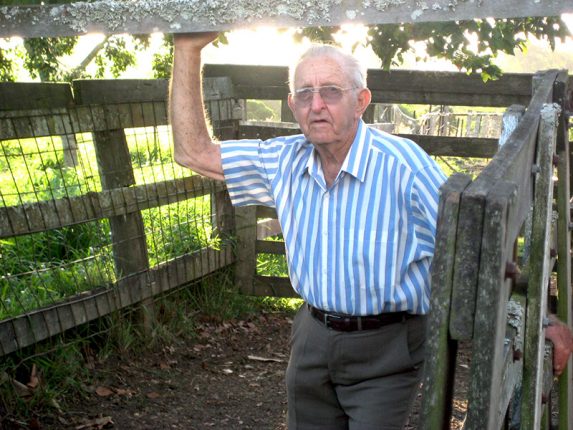 Portfolios - Kuraby Brangus